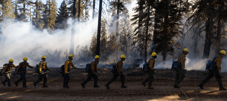 Gearing Up for Wildfire Season: 7 Trusted Wildland Brands